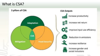 Climate Smart Agriculture | PDF