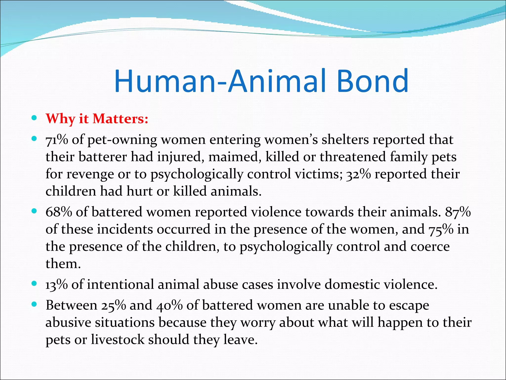 Csa File & Proposal Presentation | PPT