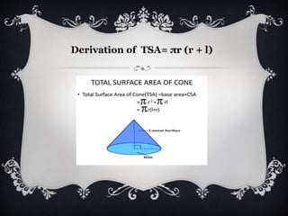 csa of cone class 9 .pptx