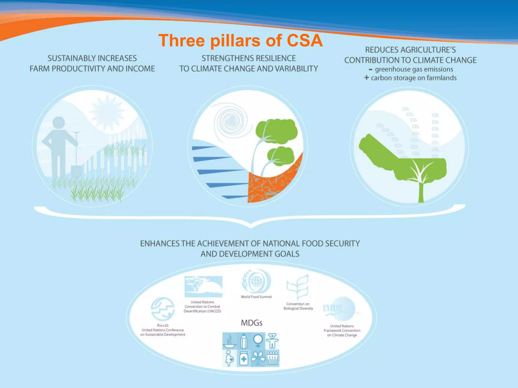 Climate-Smart Agriculture (CSA): An Overview | PDF