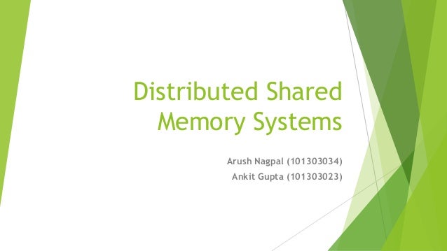 Distributed Shared Memory Systems 