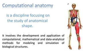 Computational biology | PPTX