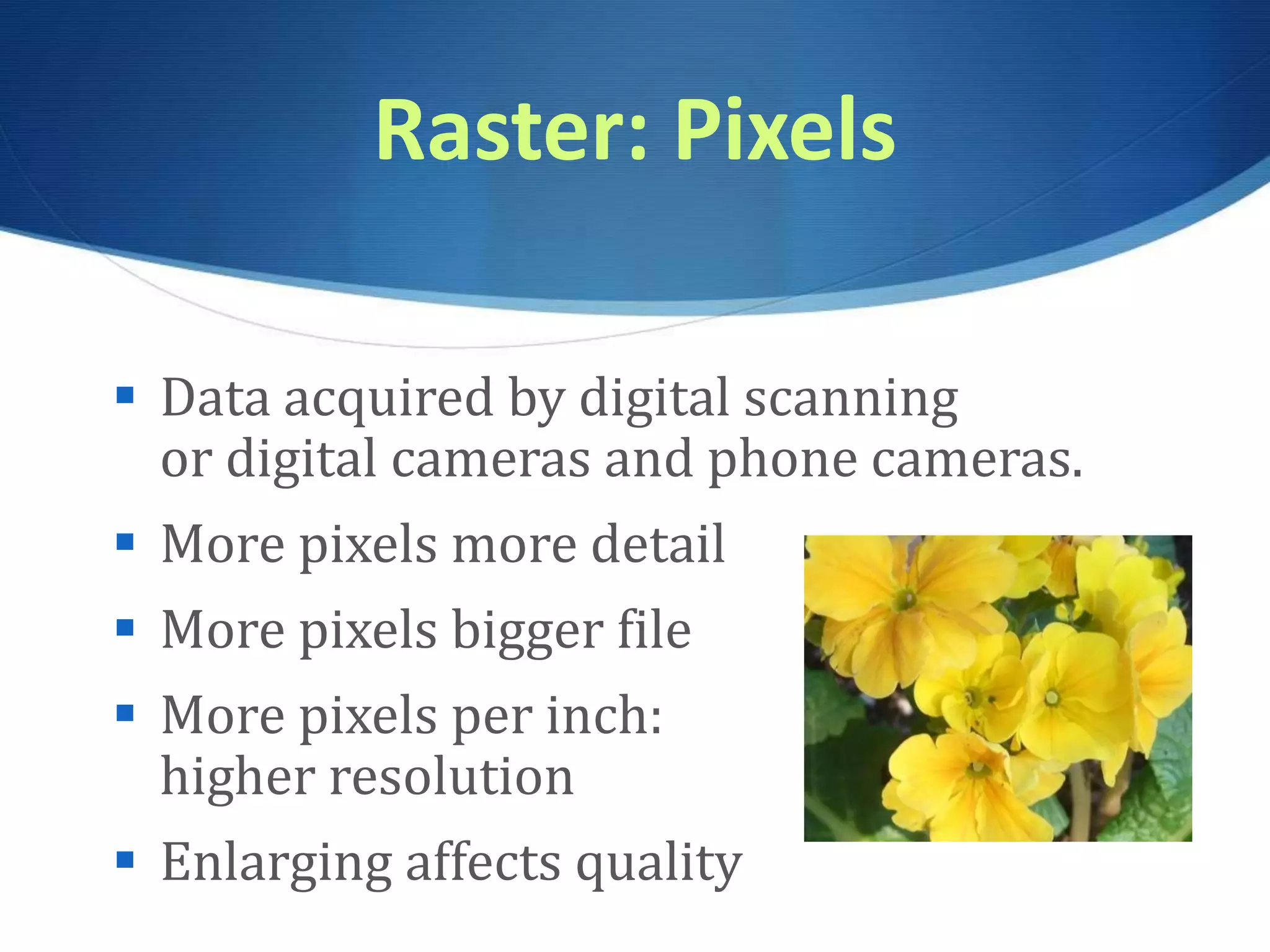 CSC103 Vector vs Raster Graphics | PPT