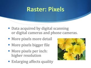 CSC103 Vector vs Raster Graphics | PPT
