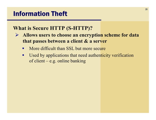 CSC1100 - Chapter09 - Computer Security, Ethics and Privacy | PPT