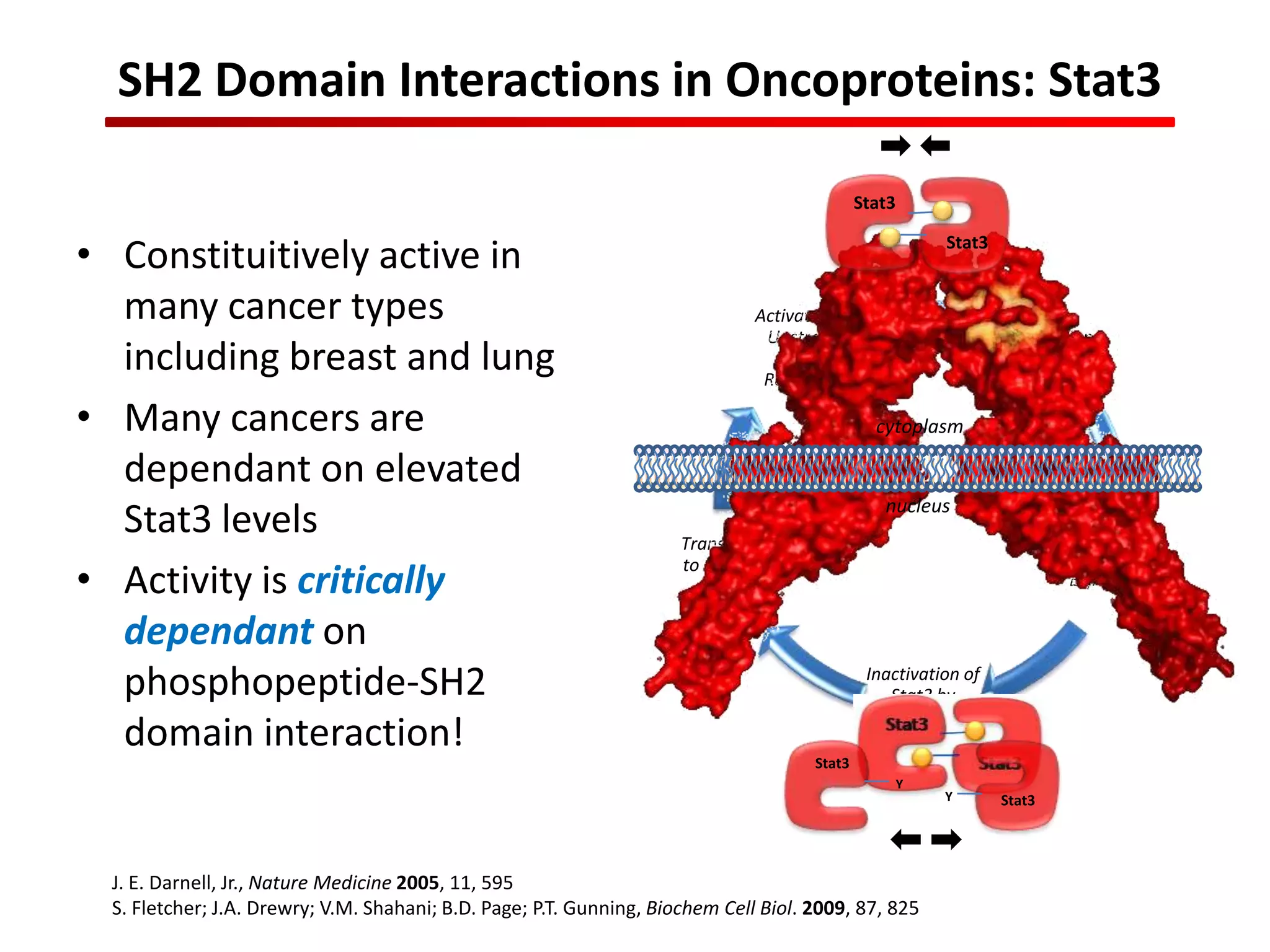 Molecular Recognition | PPTX