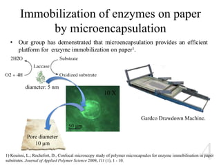 Improving Large-Scale Immobilization | PPTX