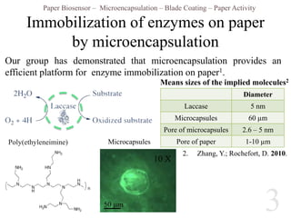 Improving Large-Scale Immobilization | PPT