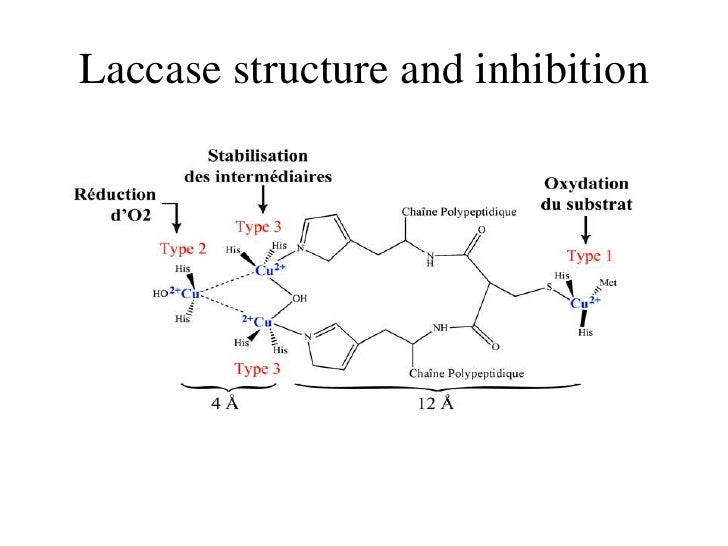 Improving Large-Scale Immobilization