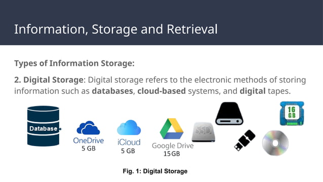 CSC315_LECTURE on database design and management | PPT