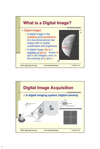 Digital Image Processing: Digital Image Fundamentals | PDF
