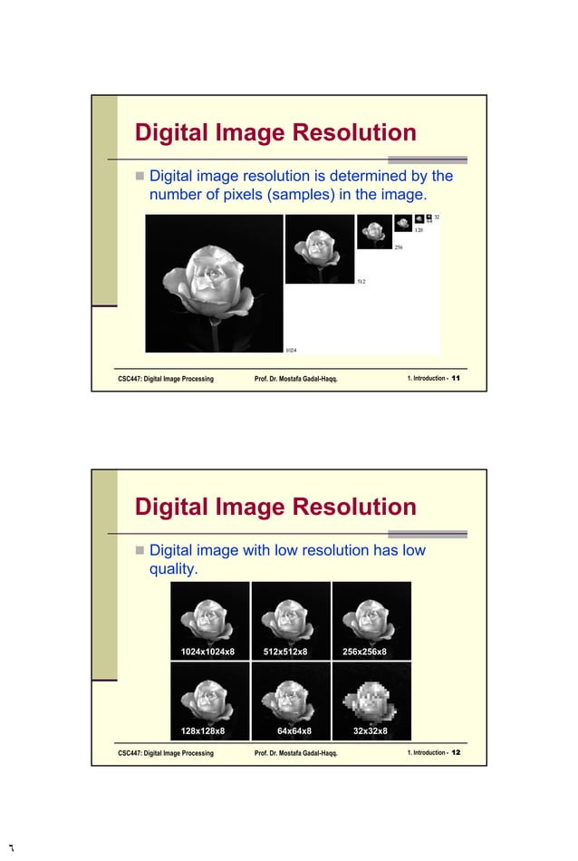 Digital Image Processing: Digital Image Fundamentals | PDF