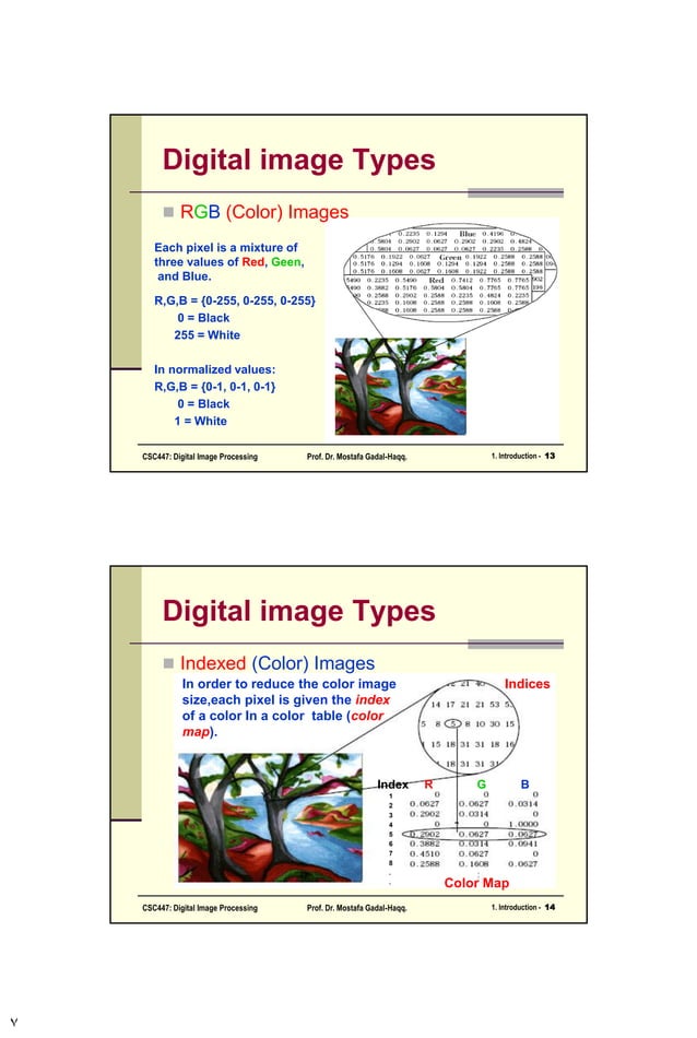 Digital Image Processing: Digital Image Fundamentals | PDF