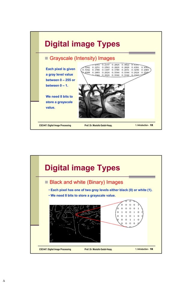 Digital Image Processing: Digital Image Fundamentals | PDF