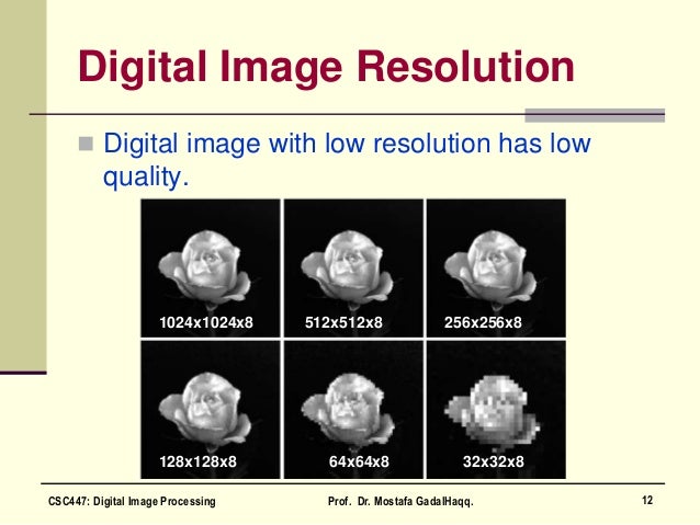 Digital Image Processing: Digital Image Fundamentals