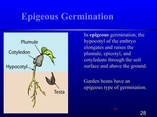 Field Crops and Cereals | PPT