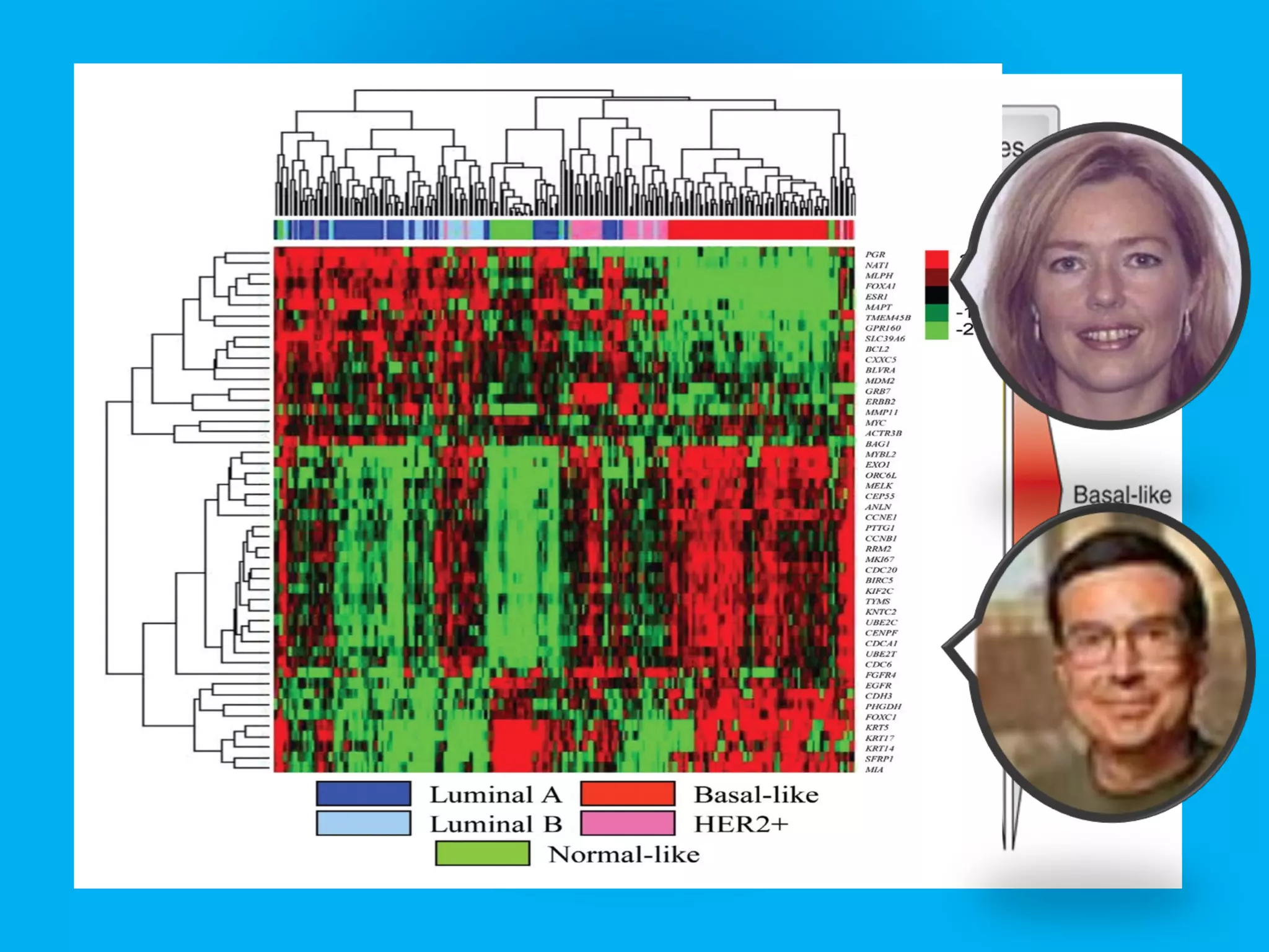 Breast Cancer Stem Cell - Basic | PPS