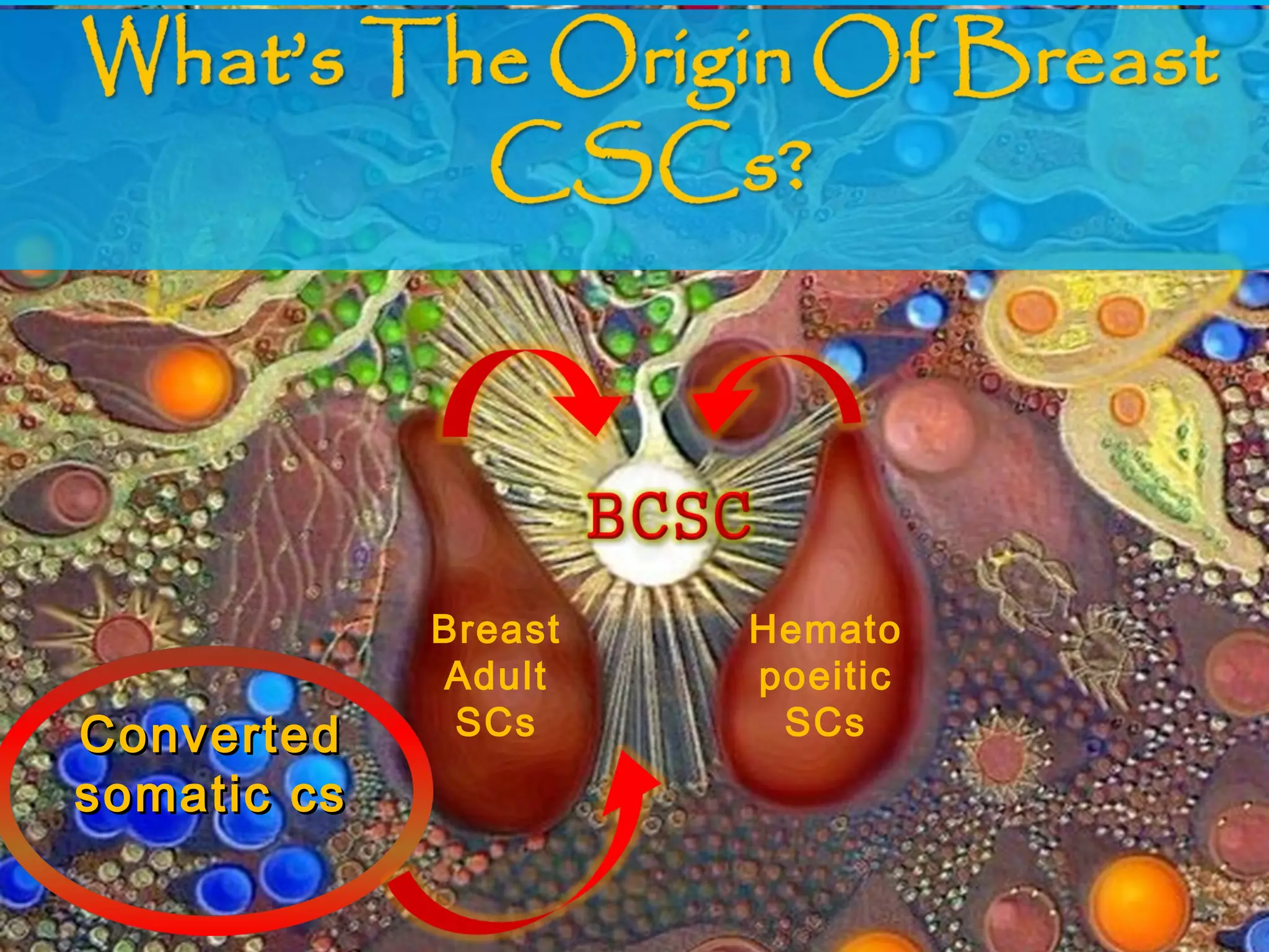 Breast Cancer Stem Cell - Basic | PPS