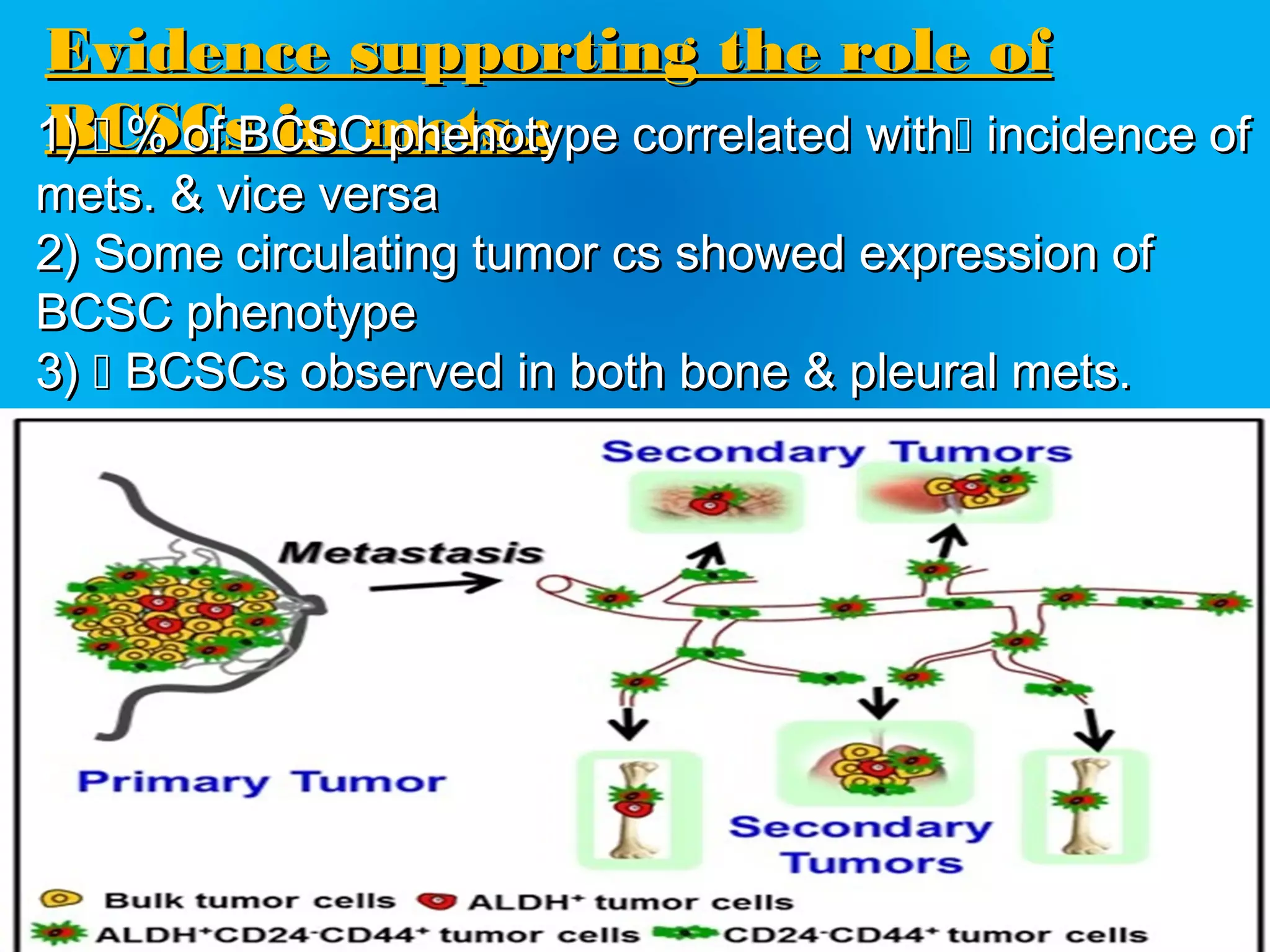 Breast Cancer Stem Cell - Basic | PPS