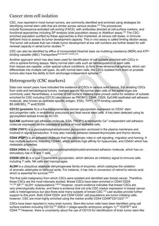 Cancer stem cells Cscs | PDF