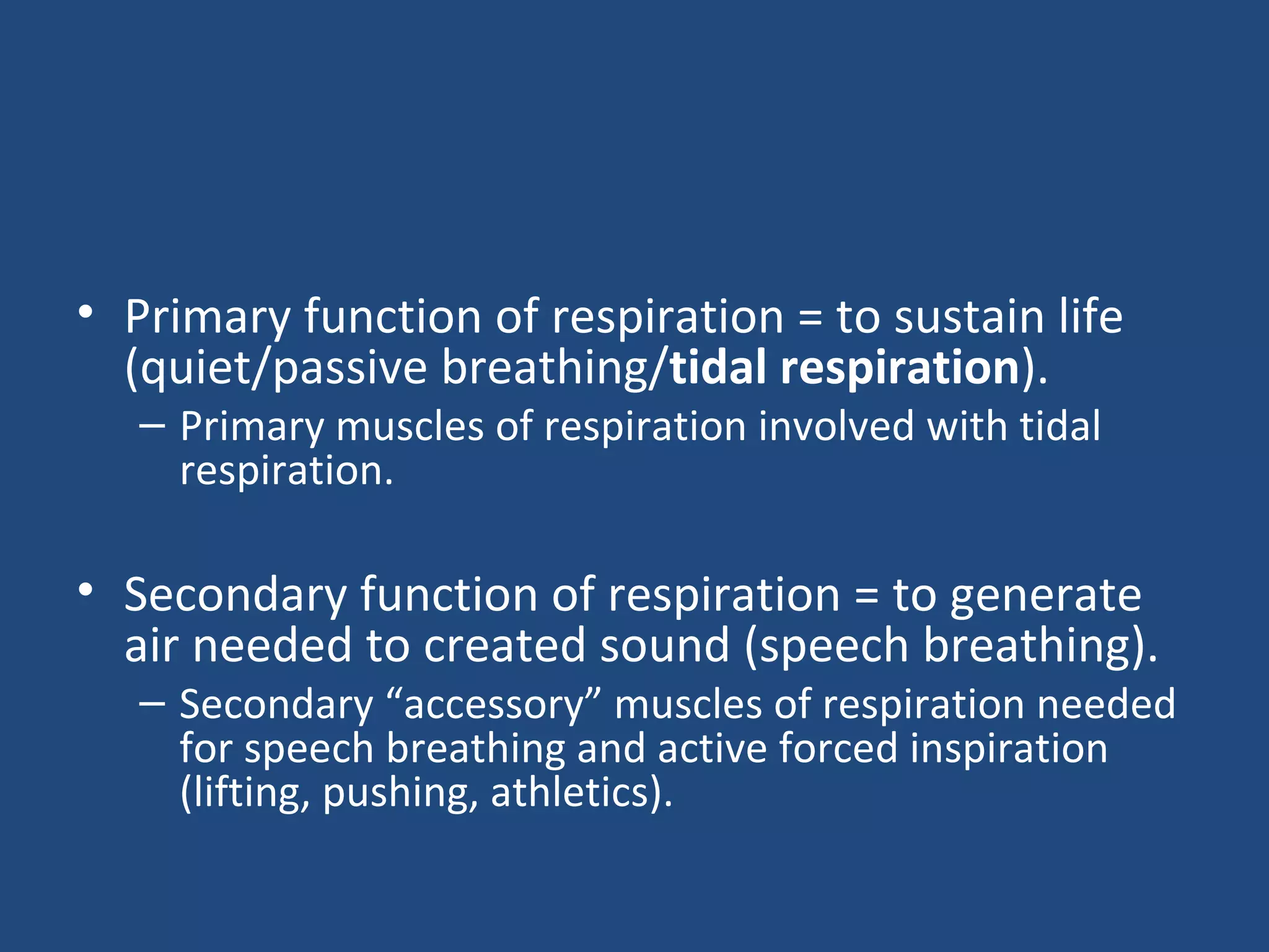 Csd 210 anatomy & physiology of the speech mechanism i | PPT