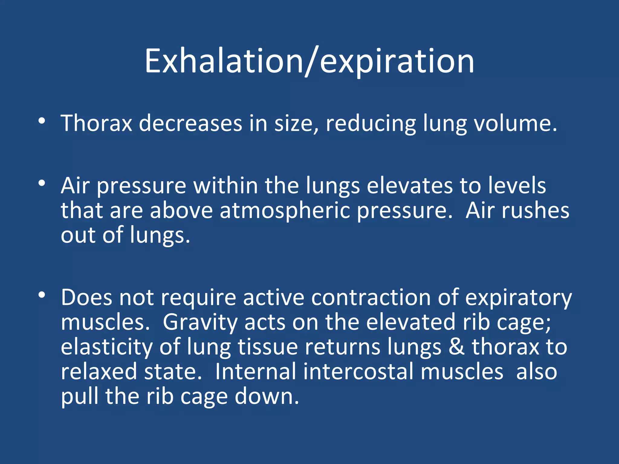 Csd 210 anatomy & physiology of the speech mechanism i | PPT