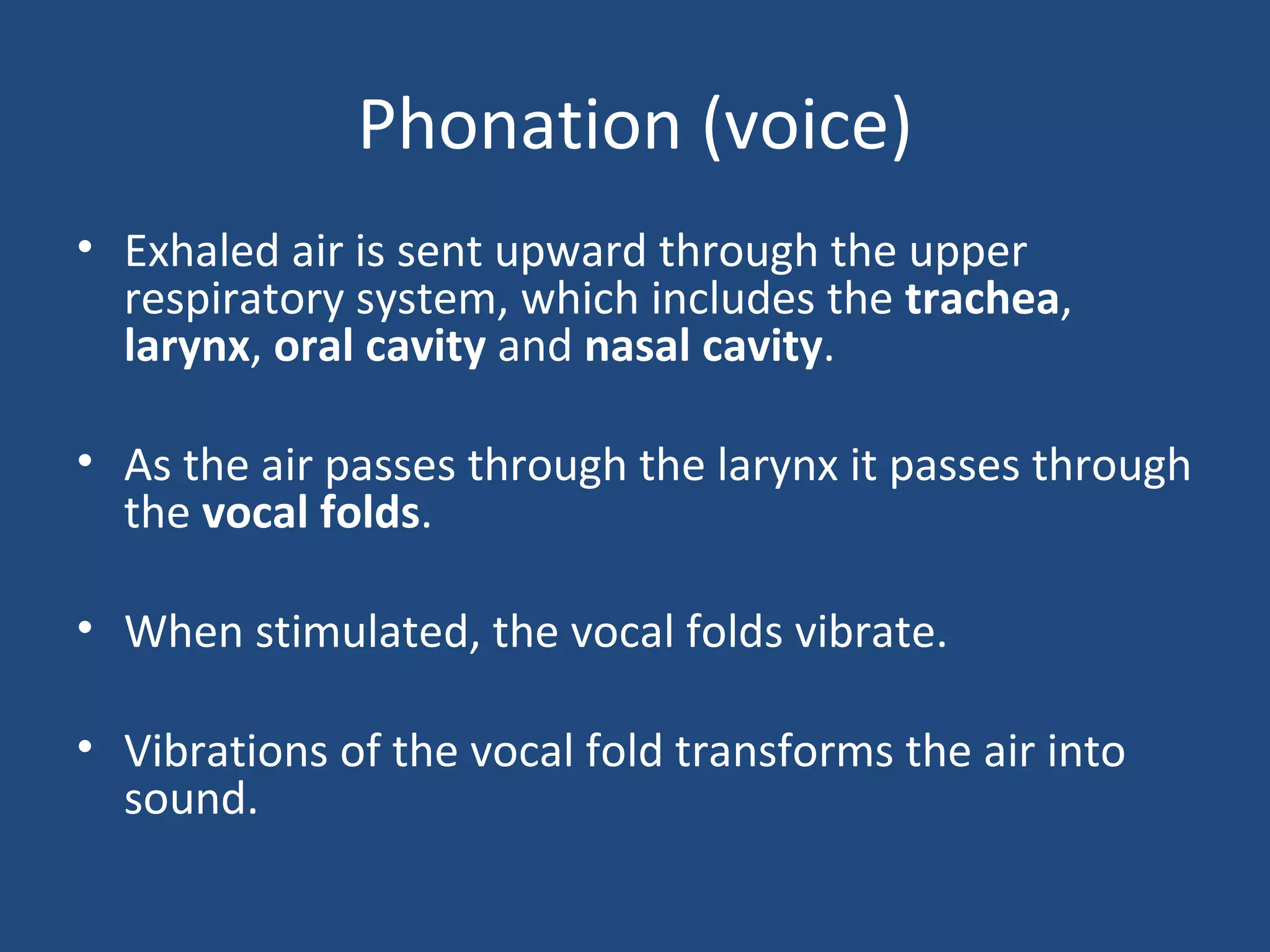 Csd 210 anatomy & physiology of the speech mechanism i | PPT