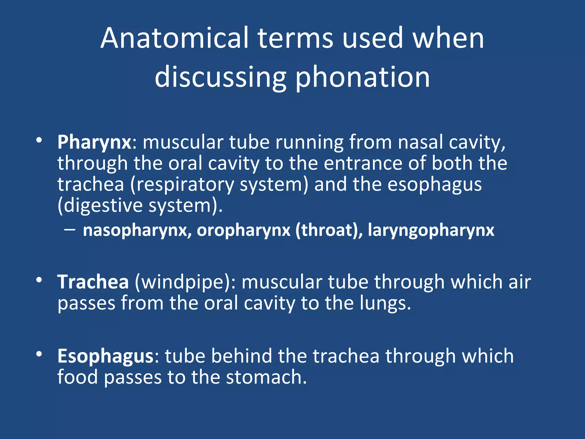 Csd 210 anatomy & physiology of the speech mechanism i | PPT