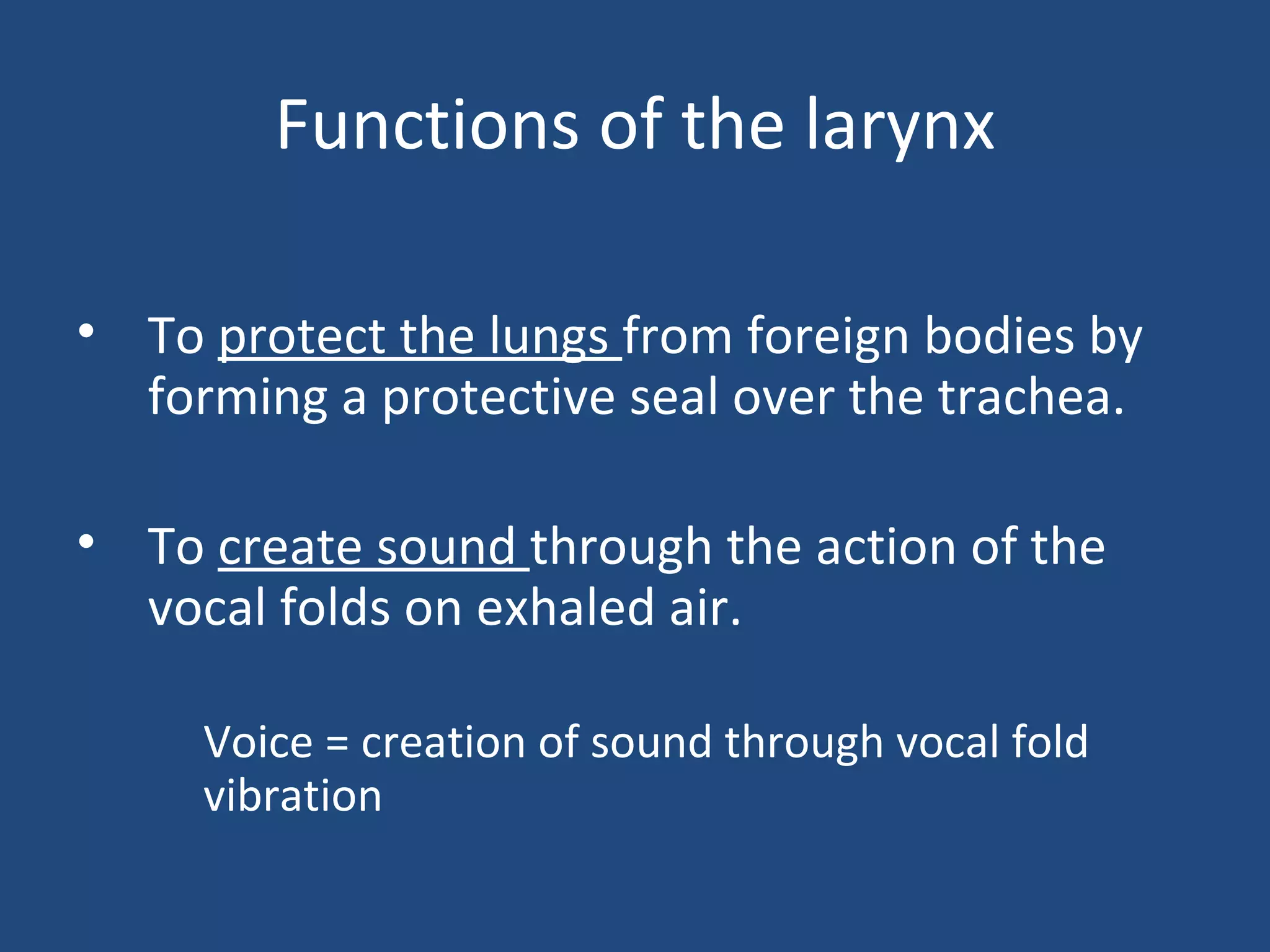 Csd 210 anatomy & physiology of the speech mechanism i | PPT