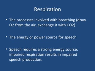 Csd 210 anatomy & physiology of the speech mechanism i | PPT