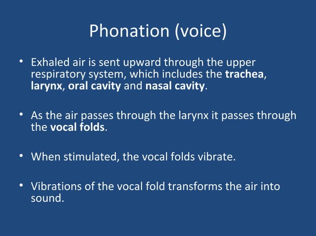 Csd 210 anatomy & physiology of the speech mechanism i | PPT