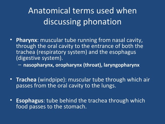 Csd 210 anatomy & physiology of the speech mechanism i | PPT