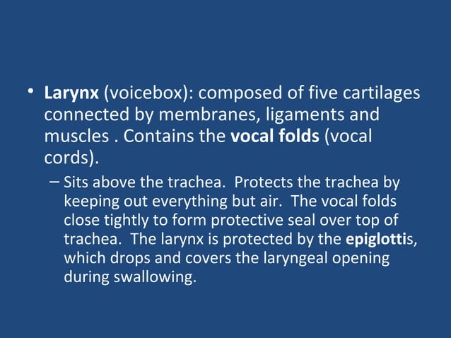 Csd 210 anatomy & physiology of the speech mechanism i | PPT
