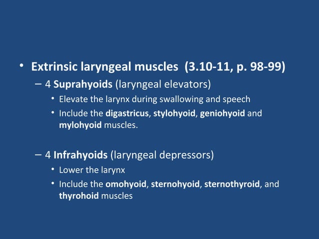 Csd 210 anatomy & physiology of the speech mechanism i | PPT