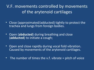 Csd 210 anatomy & physiology of the speech mechanism i | PPT