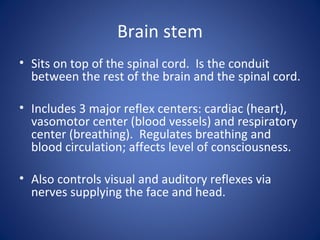 Csd 210 anatomy & physiology of the speech mechanism ii | PPT