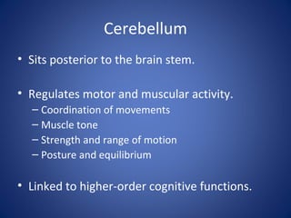 Csd 210 anatomy & physiology of the speech mechanism ii | PPT