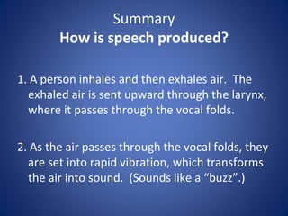 Csd 210 anatomy & physiology of the speech mechanism ii | PPT