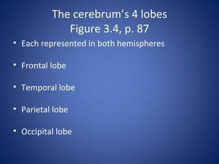 Csd 210 anatomy & physiology of the speech mechanism ii | PPT