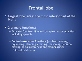 Csd 210 anatomy & physiology of the speech mechanism ii | PPT