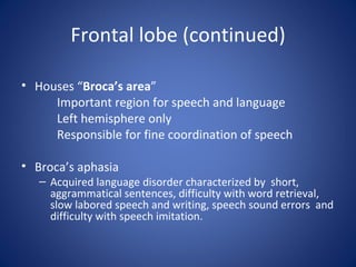 Csd 210 anatomy & physiology of the speech mechanism ii | PPT