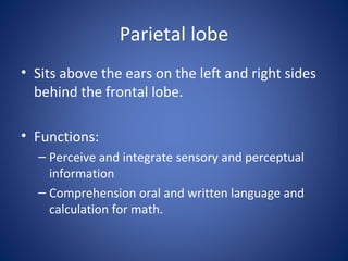Csd 210 anatomy & physiology of the speech mechanism ii | PPT