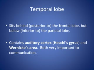 Csd 210 anatomy & physiology of the speech mechanism ii | PPT