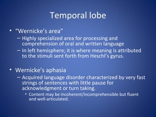 Csd 210 anatomy & physiology of the speech mechanism ii | PPT
