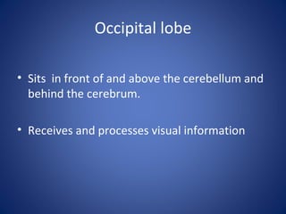 Csd 210 anatomy & physiology of the speech mechanism ii | PPT