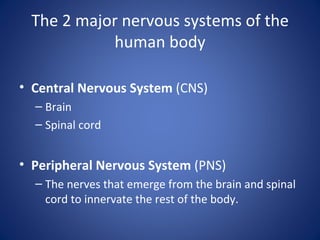 Csd 210 anatomy & physiology of the speech mechanism ii | PPT