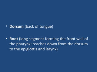 Csd 210 introduction to phonetics i and ii | PPT