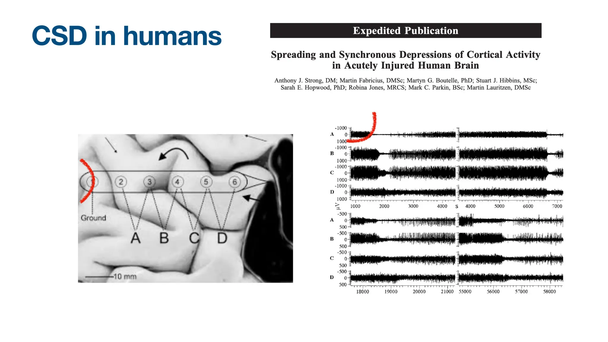 CSD by Jeffcote Coda 22.pdf