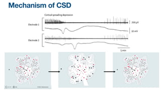 CSD by Jeffcote Coda 22.pdf