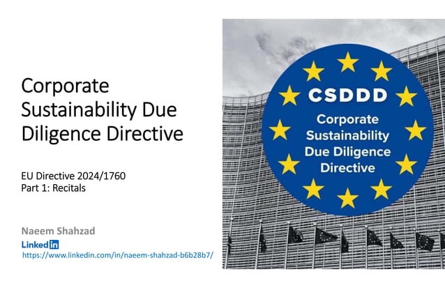 Corporate Sustainability Due Diligence Directive (CSDDD) Part1 | PDF
